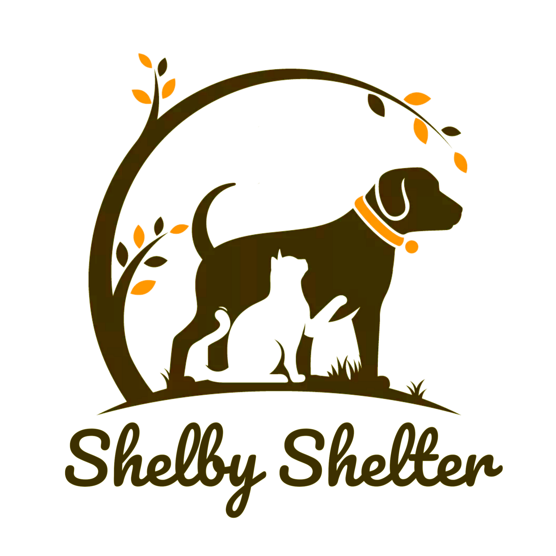 Shelby Shelter | Animal Rescue & Adoption